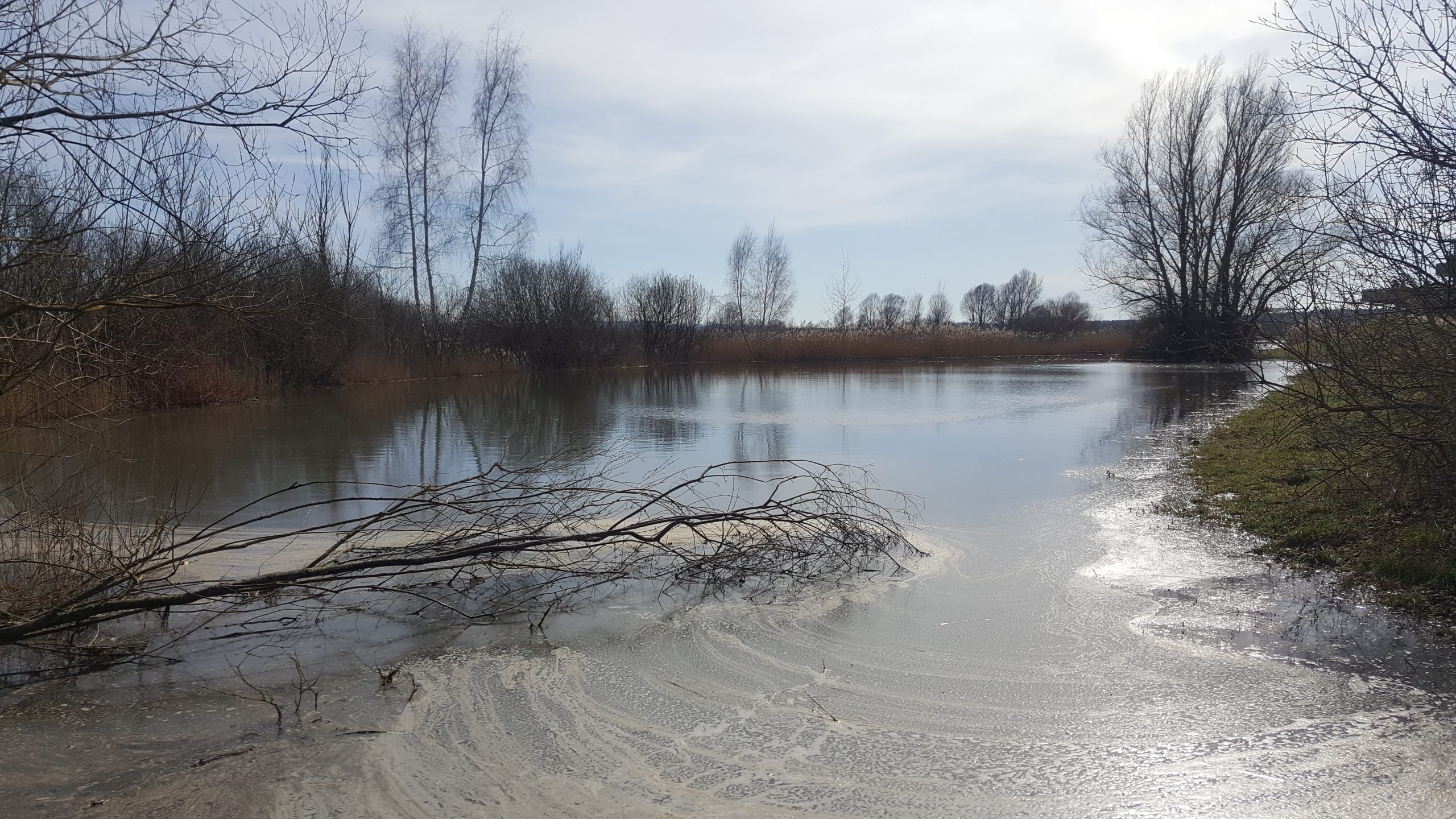 Die Vogelinsel im Altmühlsee - Entdecke Natur