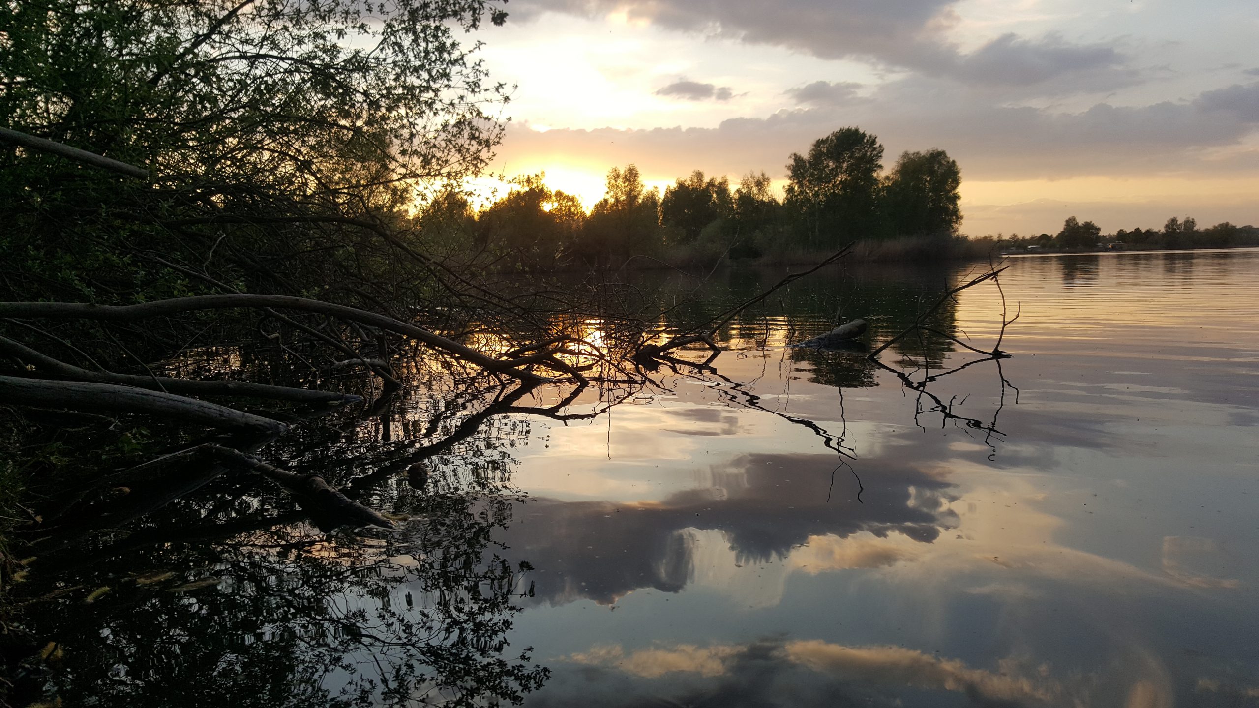 Erlichsee bei Speyer - Entdecke Natur